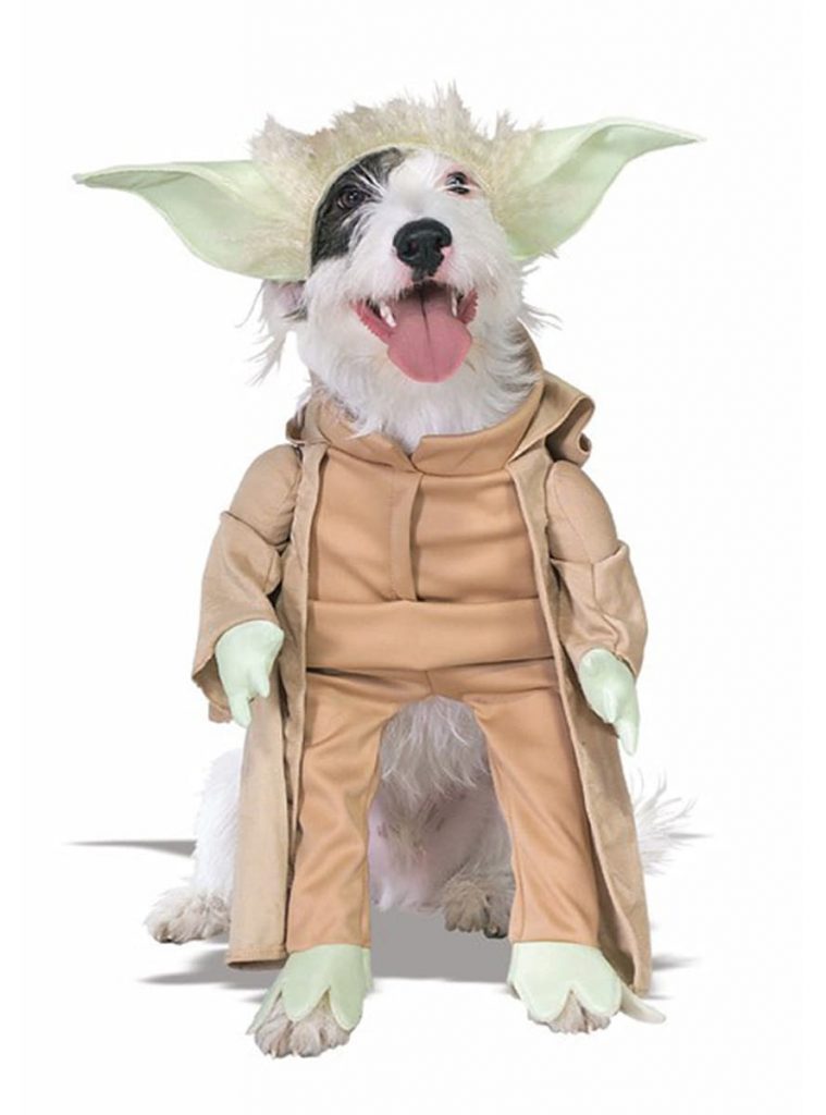 Déguisement pour chien Yoda | Super Insolite