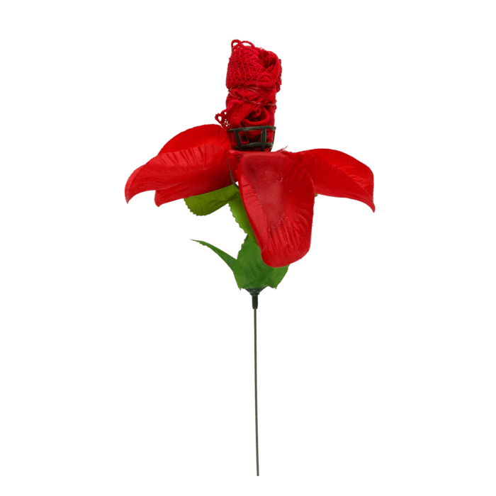 Rose surprise avec un string caché - Super Insolite